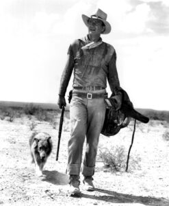 Hondo (1953) – Classic Golden Age Films